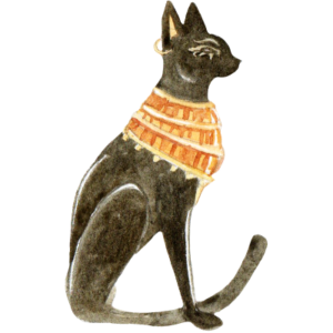 Beauty Salon in Henrietta, NY Pharaoh's Hairum Salon and Spa